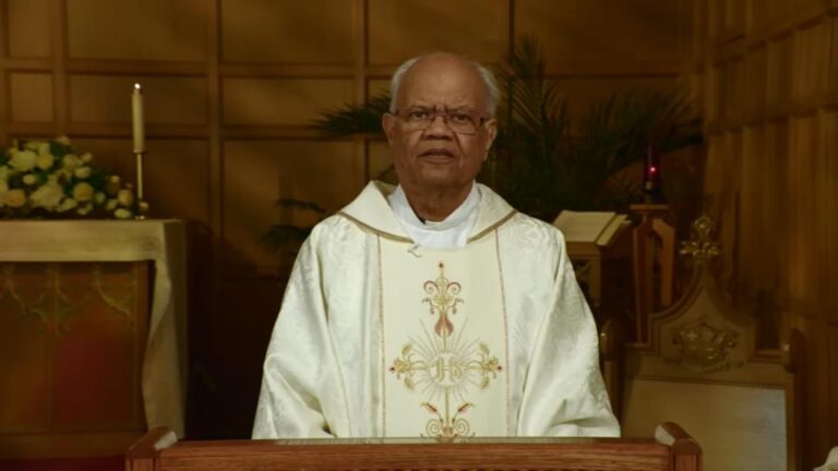 Mass Collection - Daily TV Mass